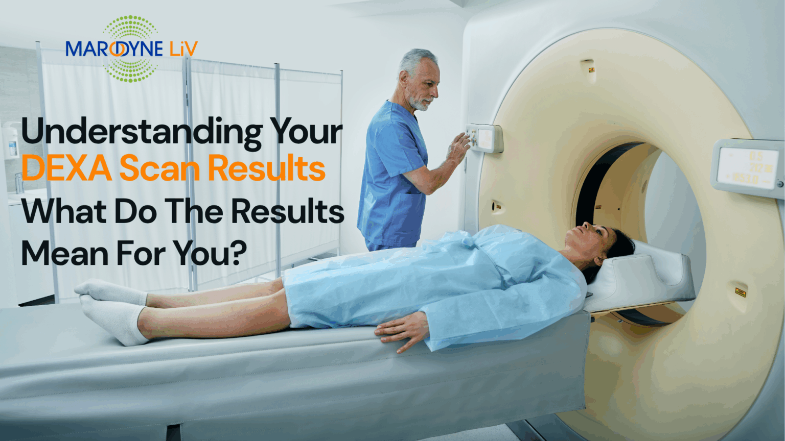 What Do The Results Of Your DEXA Scan Mean For Your Bone Health ...