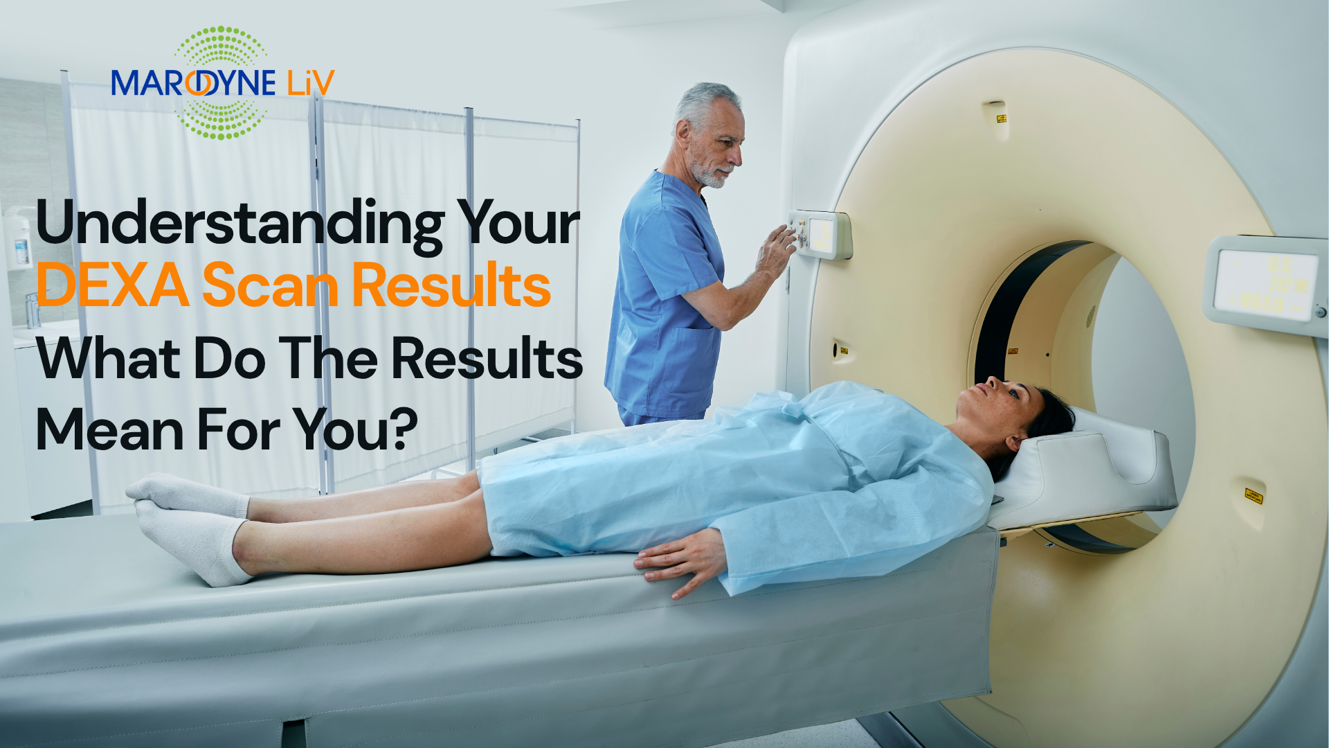What Do The Results Of Your DEXA Scan Mean For Your Bone Health ...